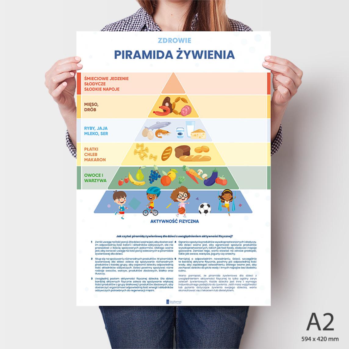 Piramida żywienia | EduFormat